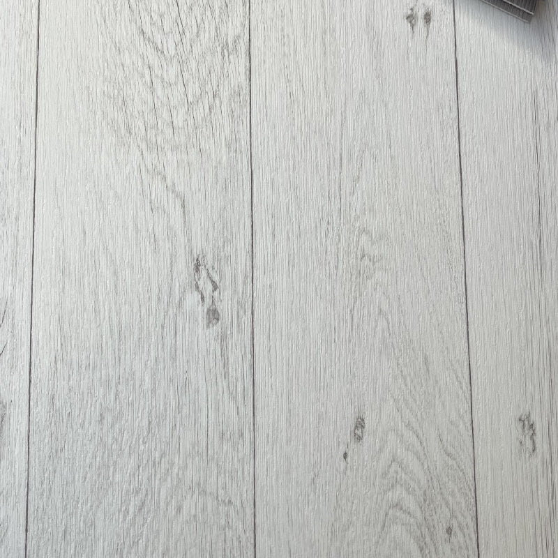 Cameo 060s - Octavian Collection Sirius - Kellars