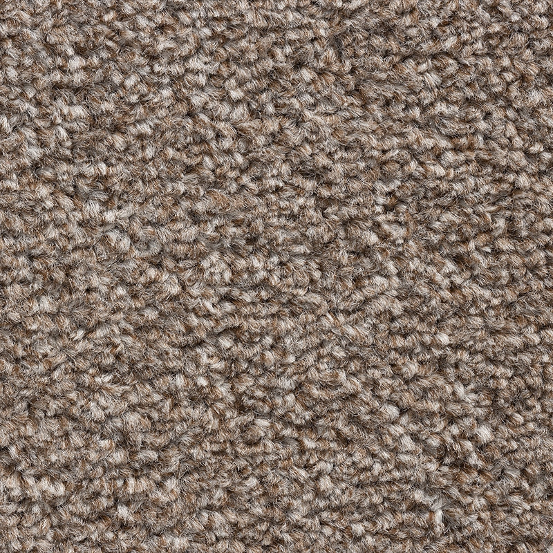 Mink - Shannon Twist - Condor Carpets