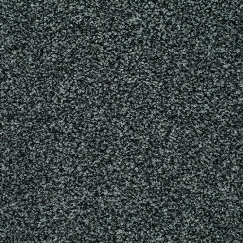 Scribe - Literature Exclusive - Lifestyle Floors